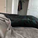 Eddie Bauer Woodland Tartan Cotton Green Comforter Set & Reviews | Wayfair